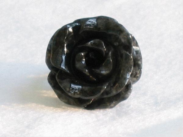 OrientConcepts Shopping Corner